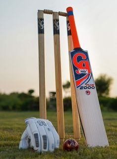 Cricket's Historic Return: The Journey to Its Debut at the Los Angeles ...